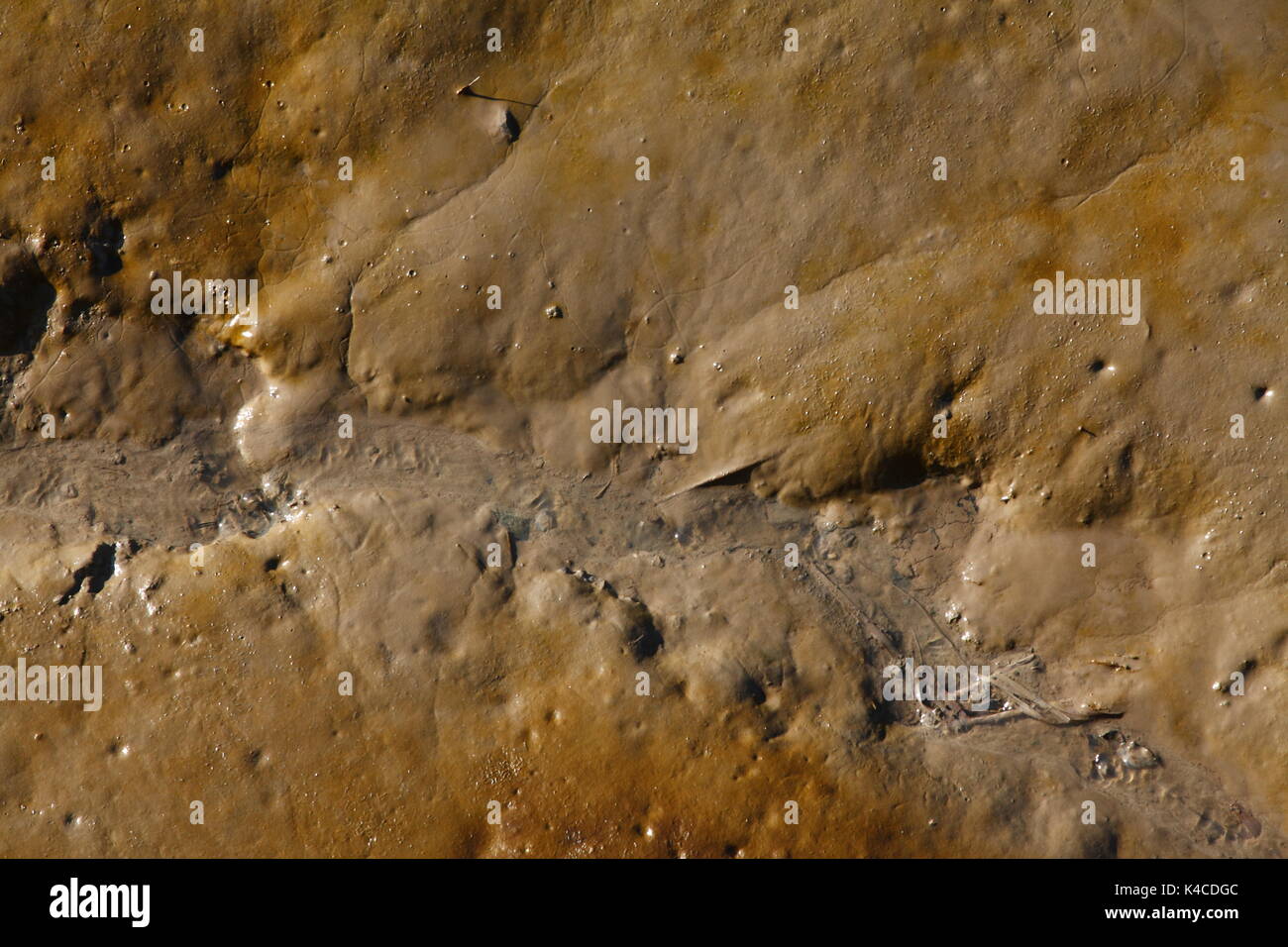 Brown sludge hi-res stock photography and images - Alamy