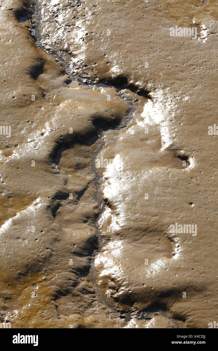 brown sludge in mud flats at low tide Stock Photo - Alamy