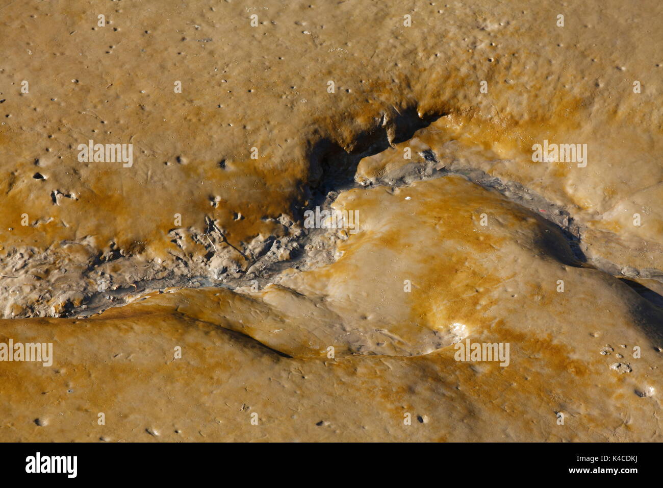 brown sludge in mud flats at low tide Stock Photo - Alamy