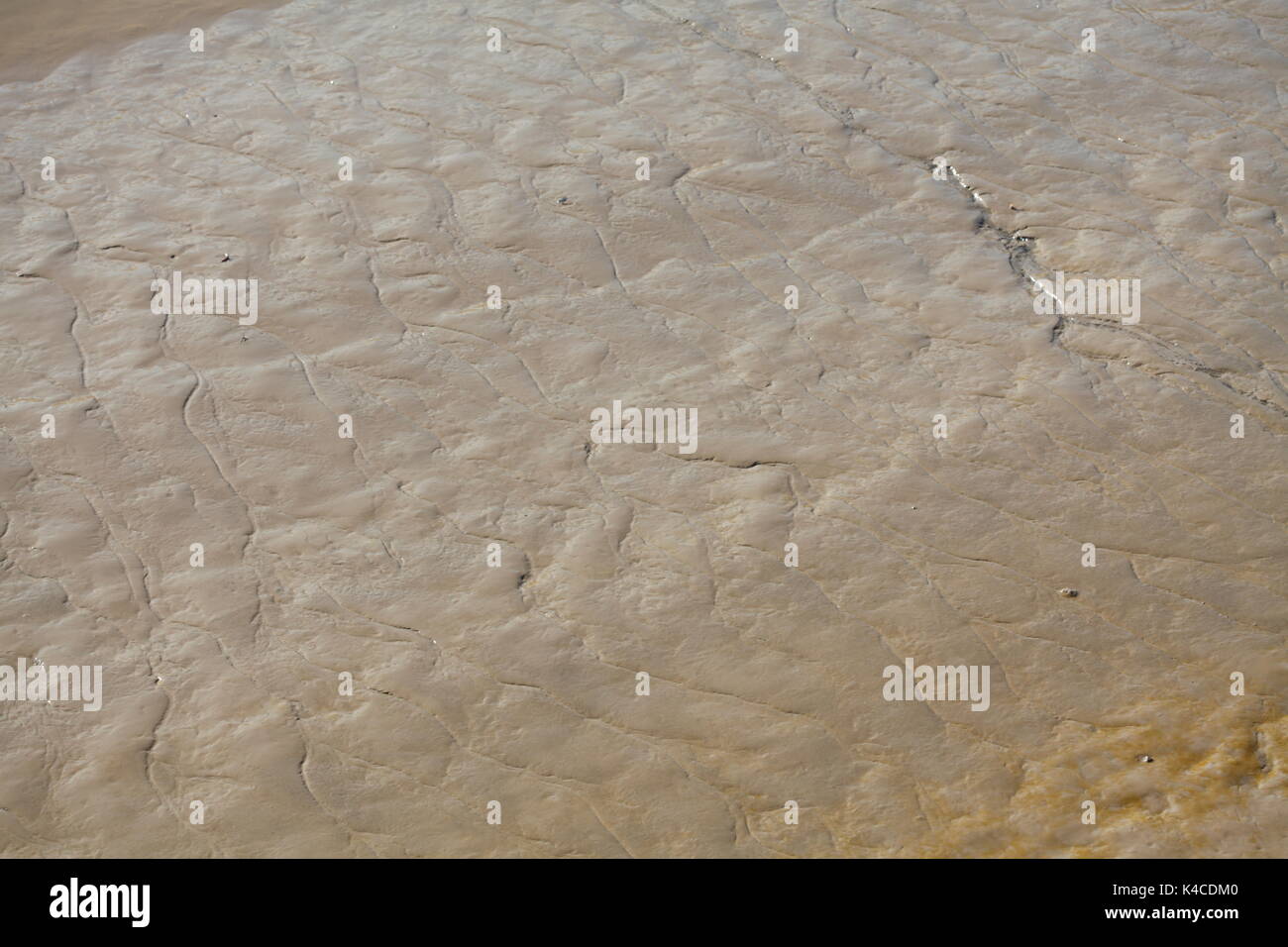 brown sludge in mud flats at low tide Stock Photo - Alamy