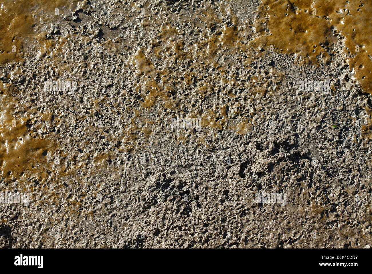 Brown sludge hi-res stock photography and images - Alamy