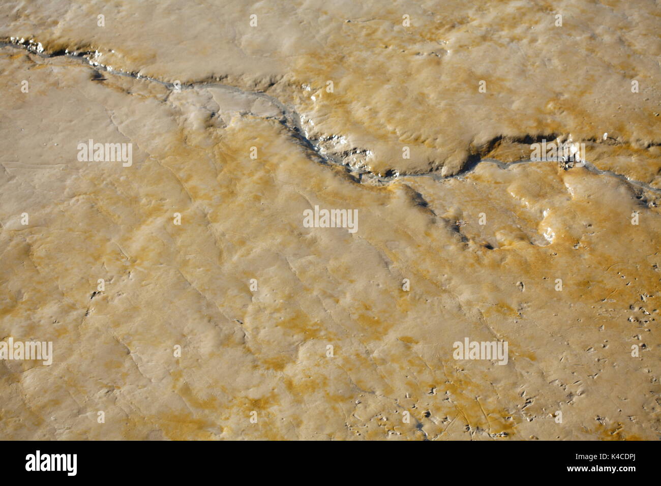 brown sludge in mud flats at low tide Stock Photo - Alamy