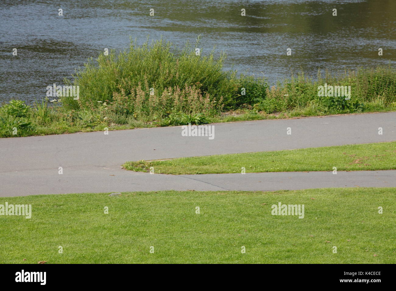 Walk in a Park with lawn Stock Photo - Alamy