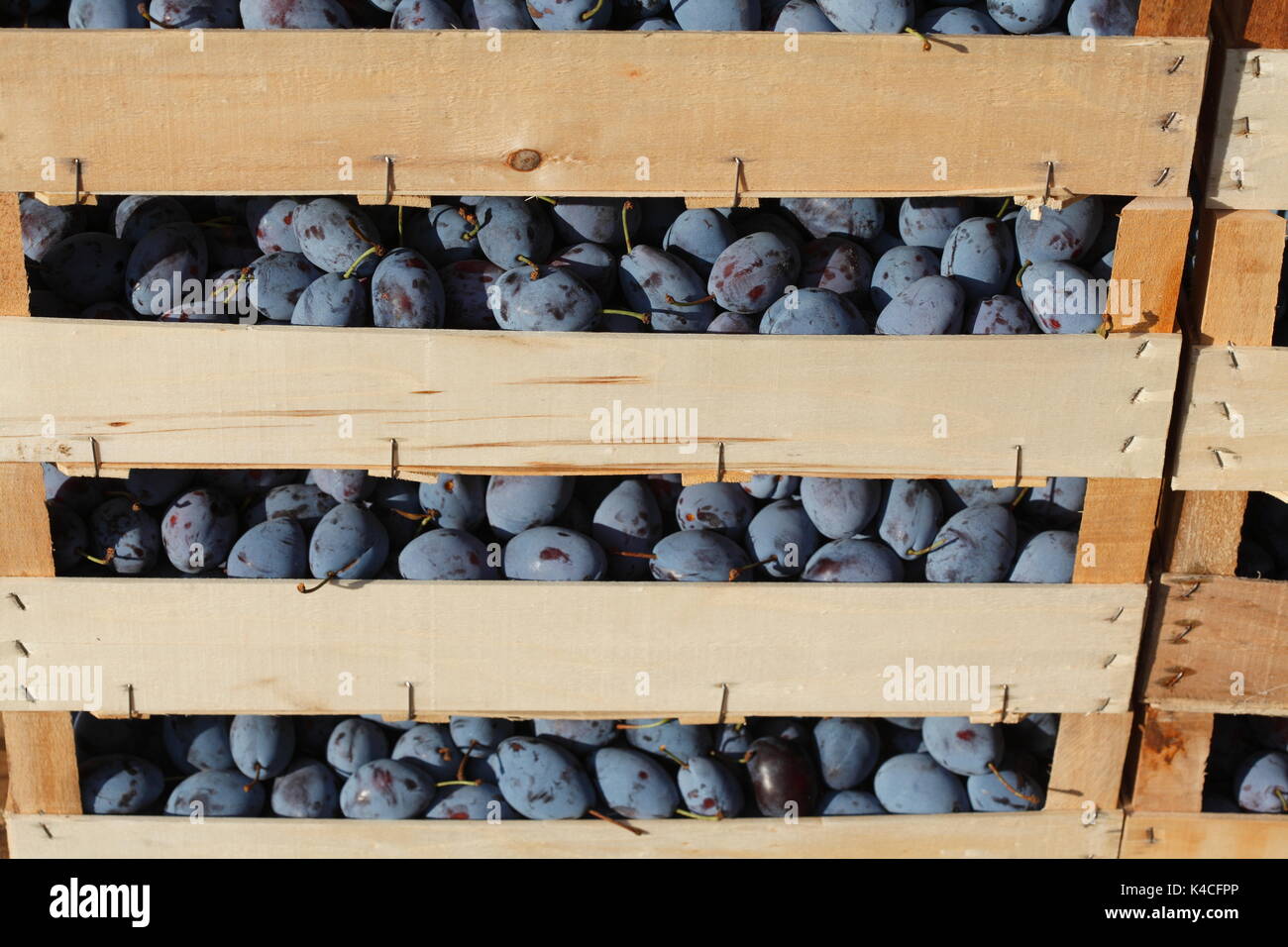 Fruit boxes hi-res stock photography and images - Alamy