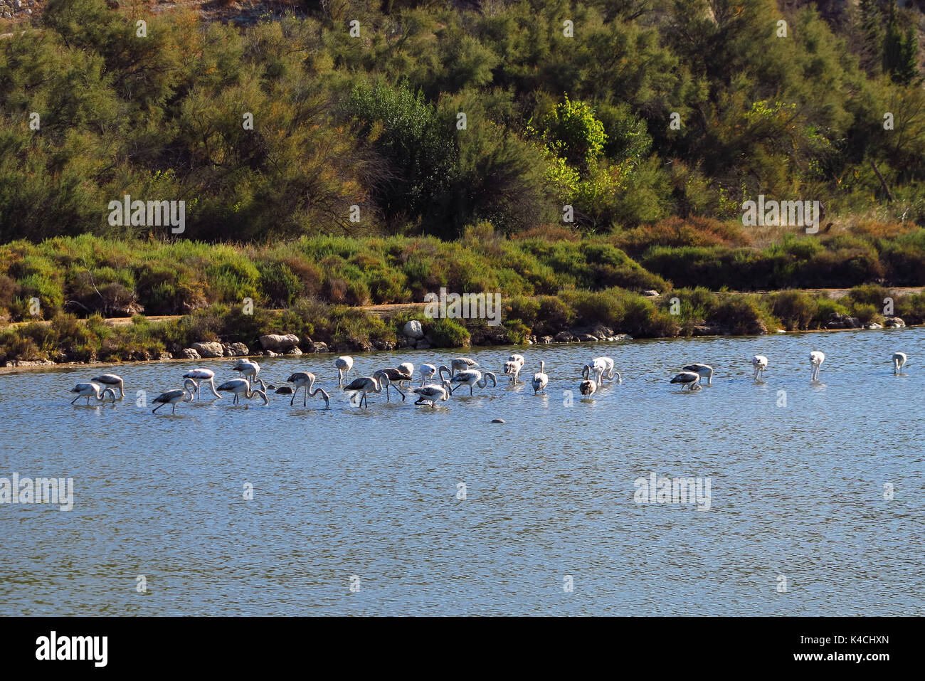 Etang de peyriac de mer hi-res stock photography and images - Alamy