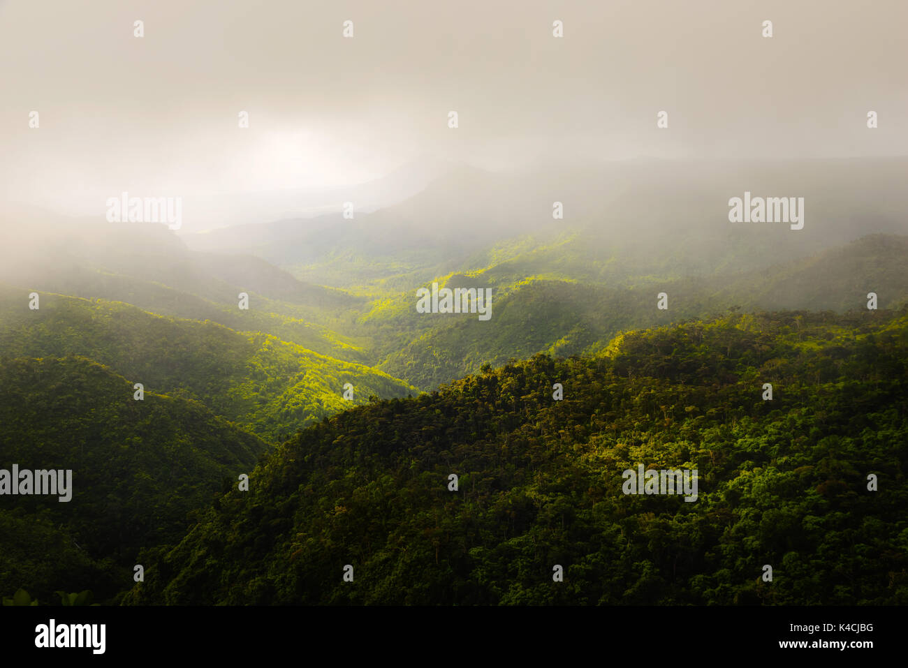 Black river gorge mauritius hi-res stock photography and images - Alamy