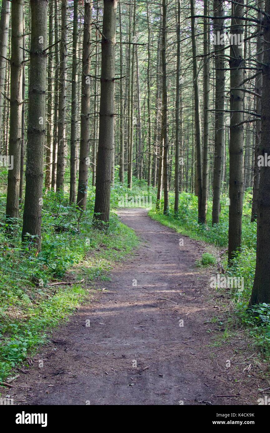 Isolated picture beautiful trail hi-res stock photography and images ...