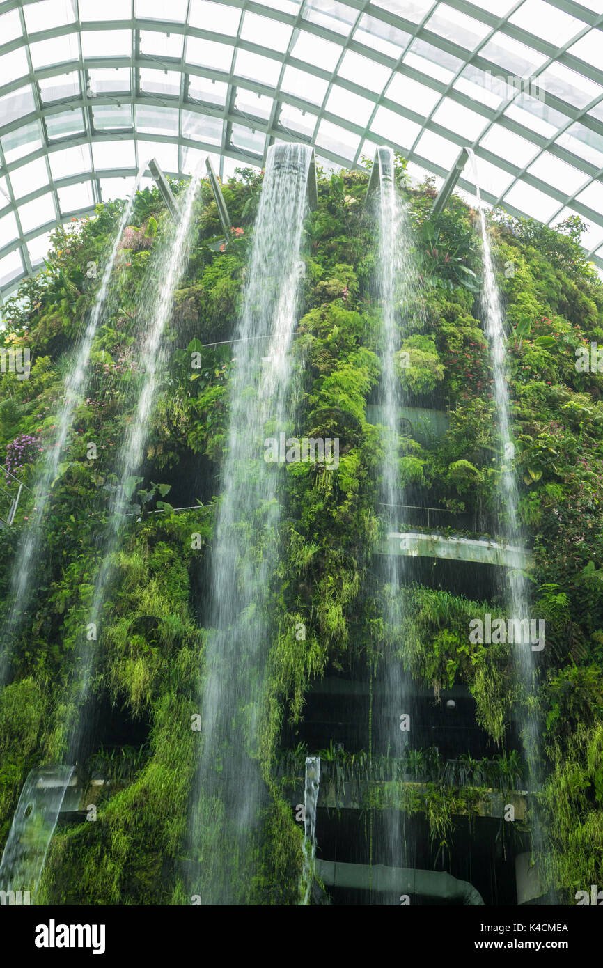 Worlds Largest Waterfall In A Greenhouse, Cloud Forest, Gardens By The ...