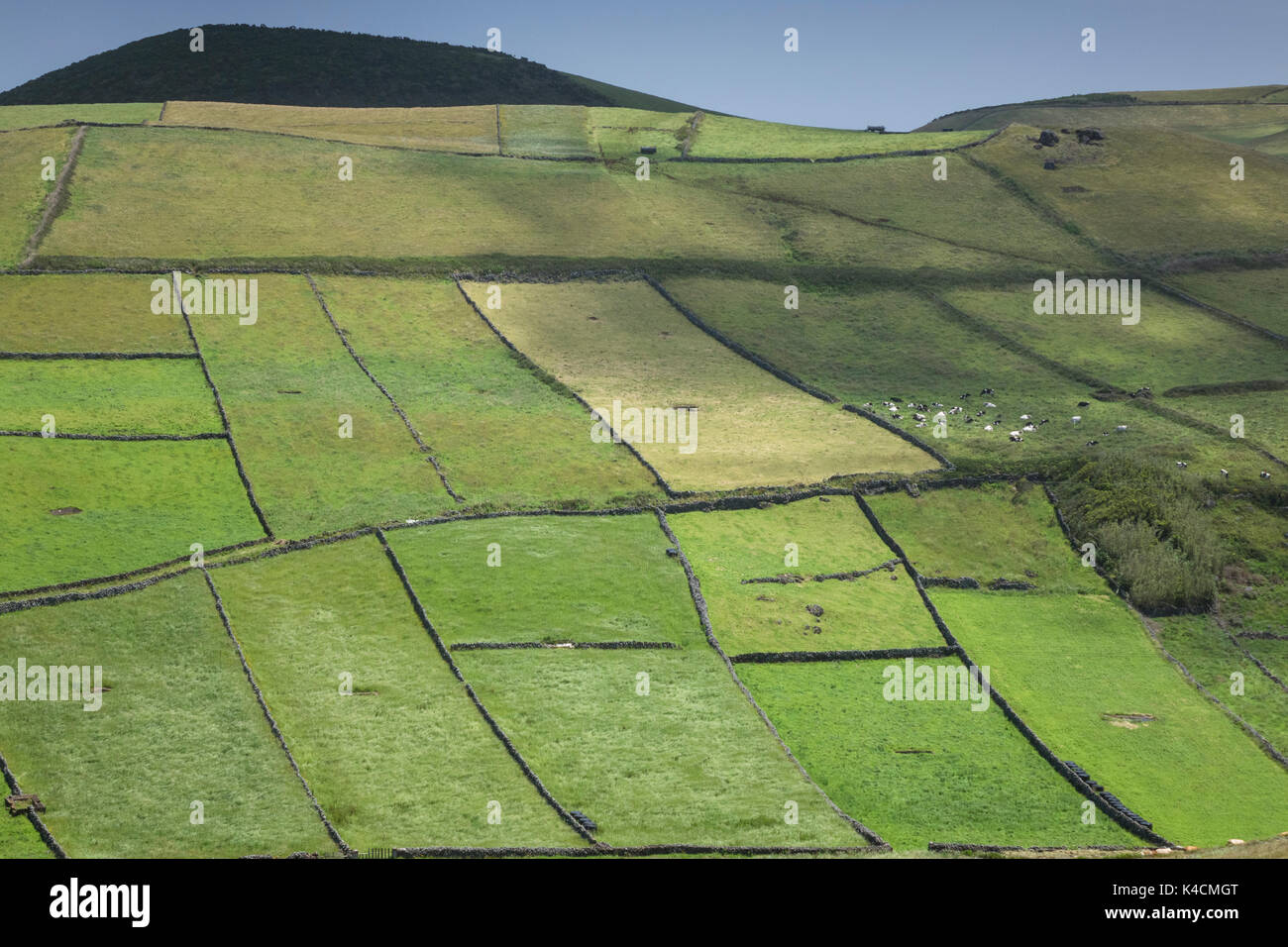 View Of Typical Grazing Pastures, Separated By Dry Stone Walls Of ...