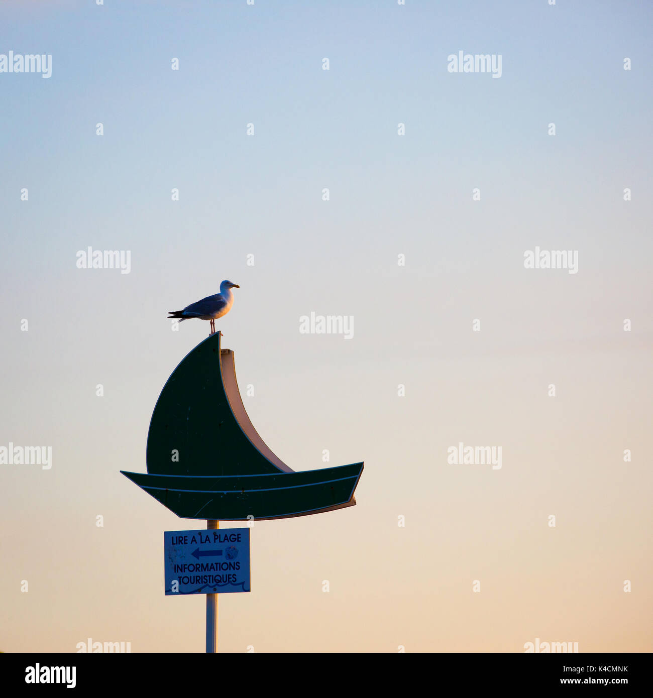 Fauna plate hi-res stock photography and images - Alamy