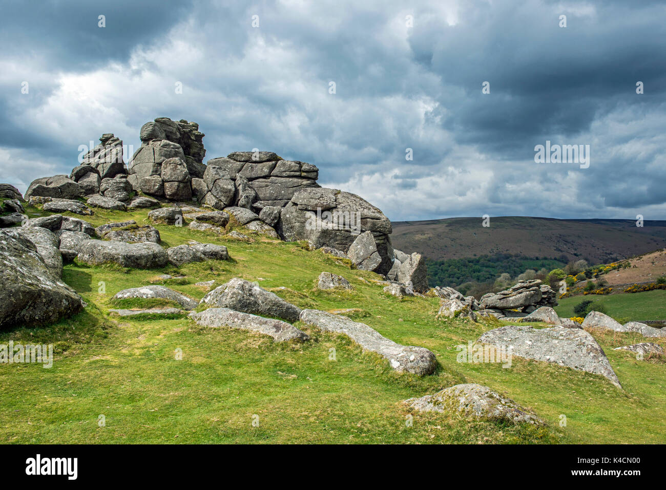 Bonehill Rocks above Widecombe in the Moor Dartmoor Devon Stock Photo ...
