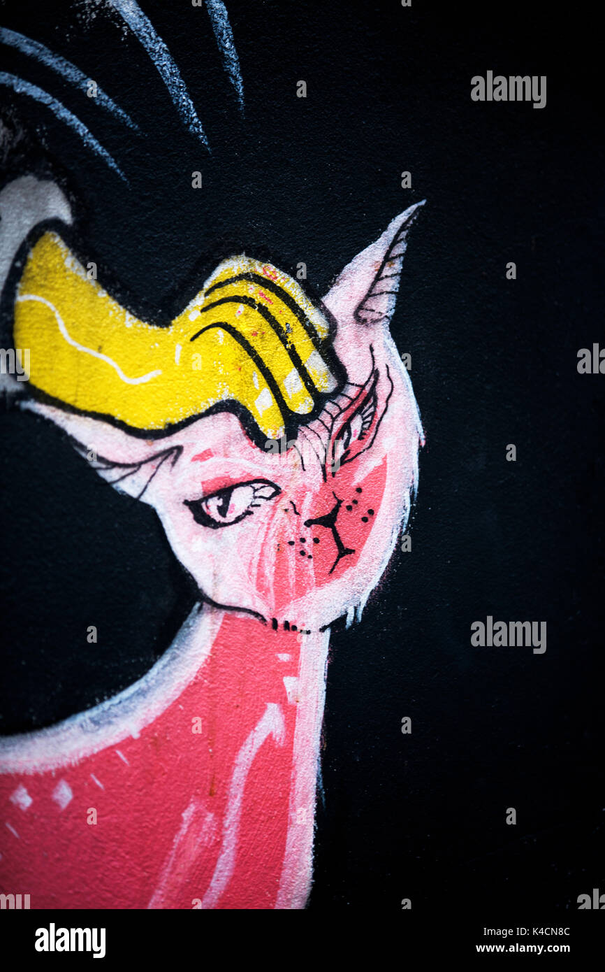 Human and cat hi-res stock photography and images - Alamy