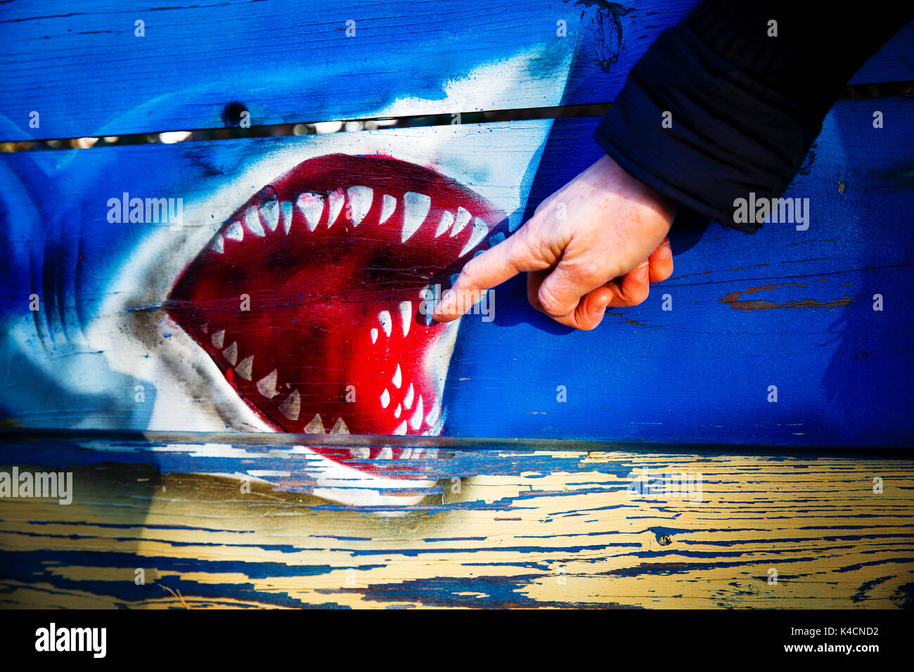 Shark bite person hi-res stock photography and images - Alamy