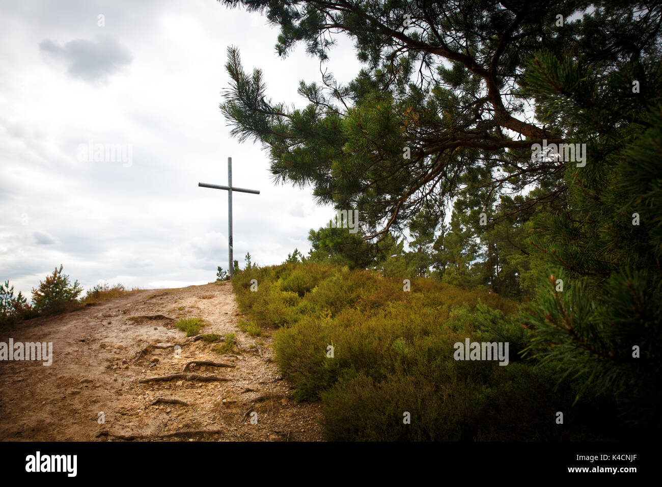 Way To The Summit, Forest Stock Photo - Alamy