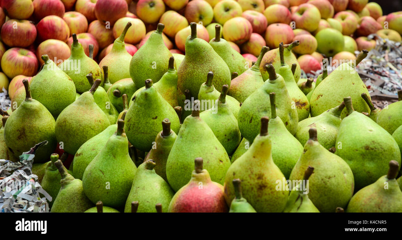 Fresh pear fruits for sale at street market in Amritsar, India Stock ...