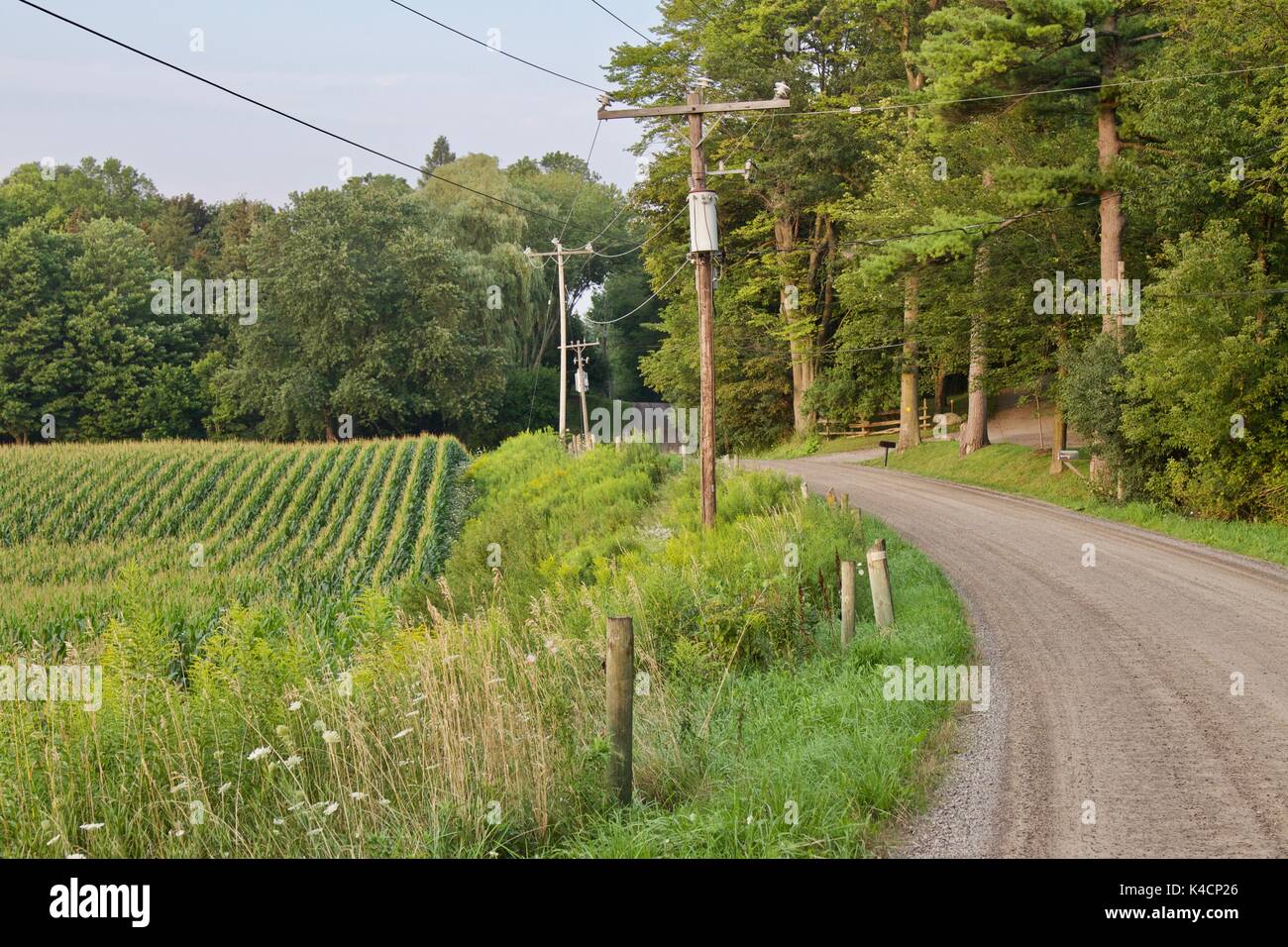 Beautiful background with a beautiful road Stock Photo - Alamy