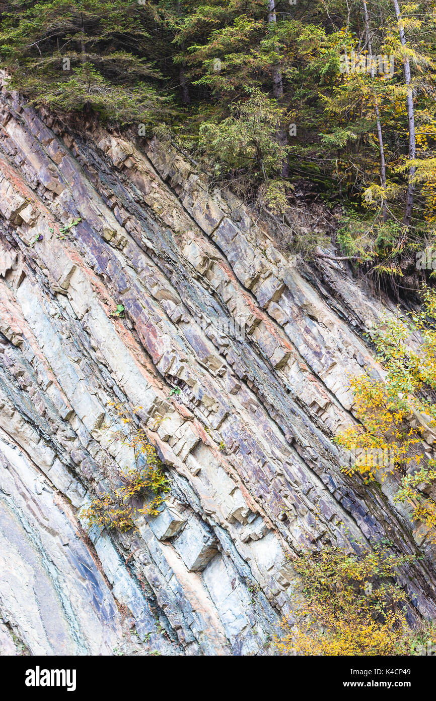 Metamorphic rock layers texture in Carpathian mountains. Geological ...