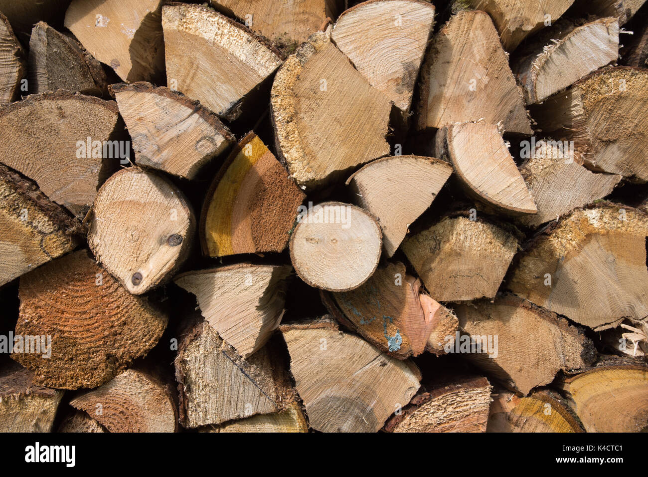 Logwood bark hi-res stock photography and images - Alamy