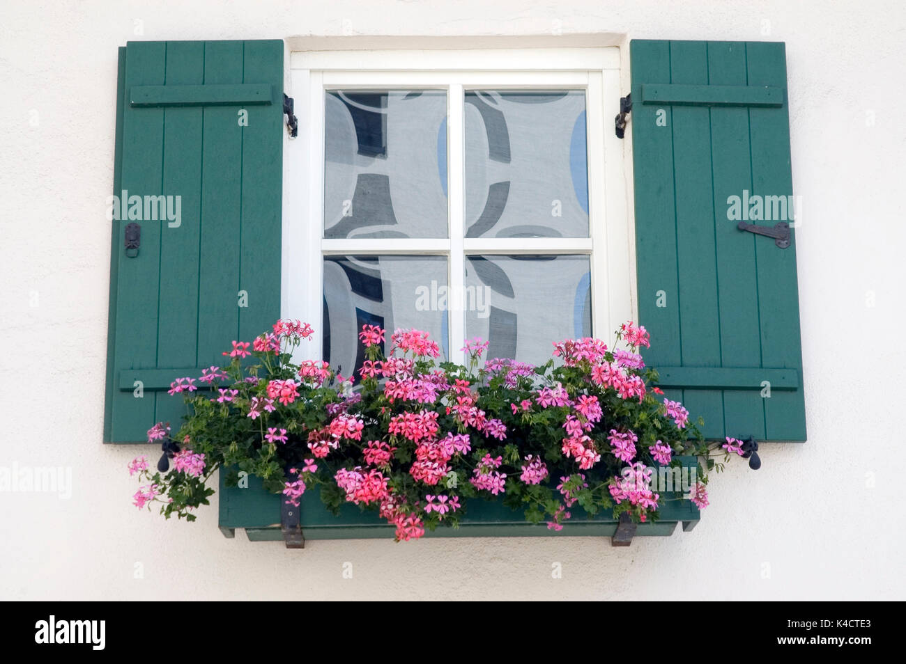 Geraneum hi-res stock photography and images - Alamy