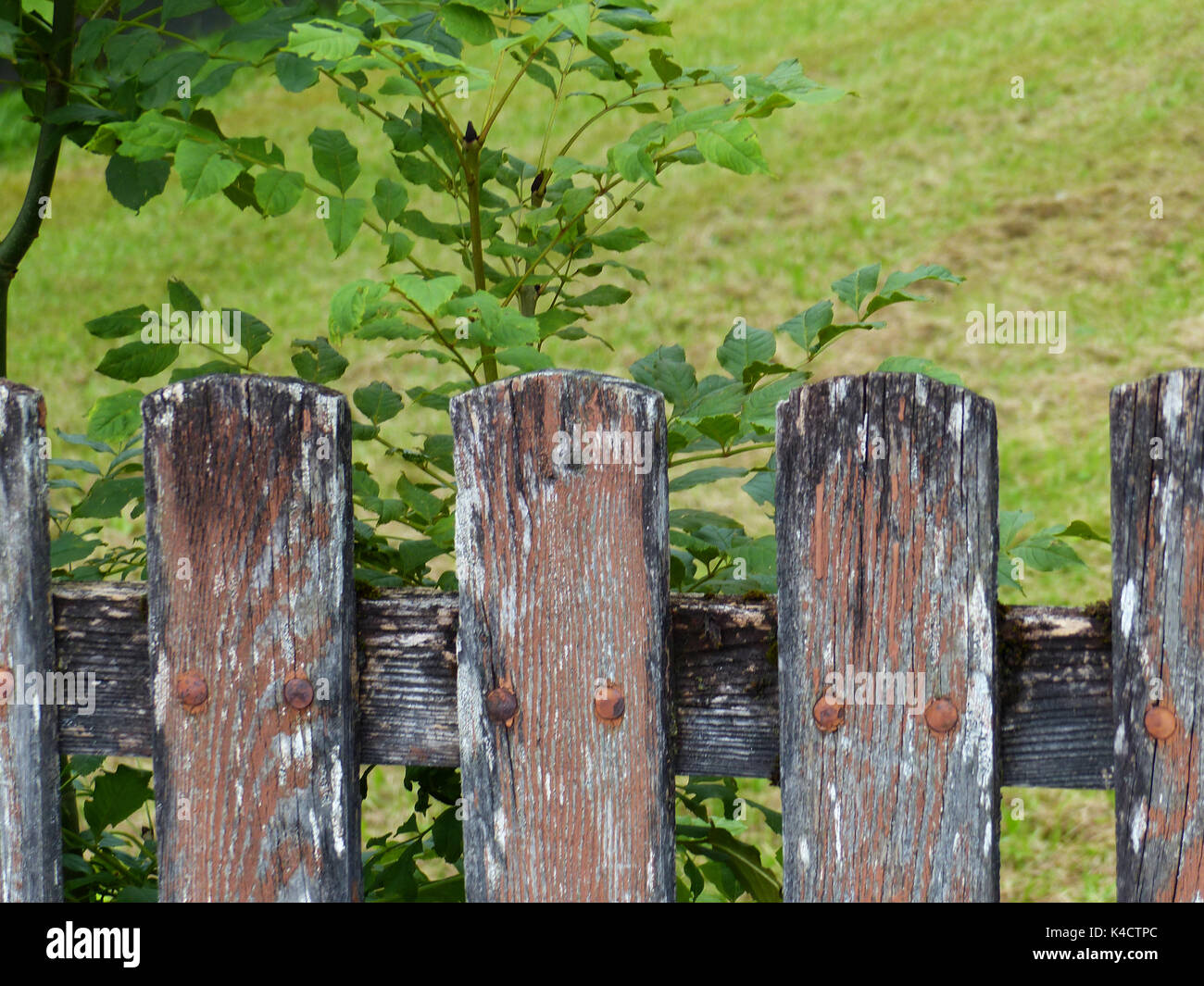 Picket pale fence hi-res stock photography and images - Alamy