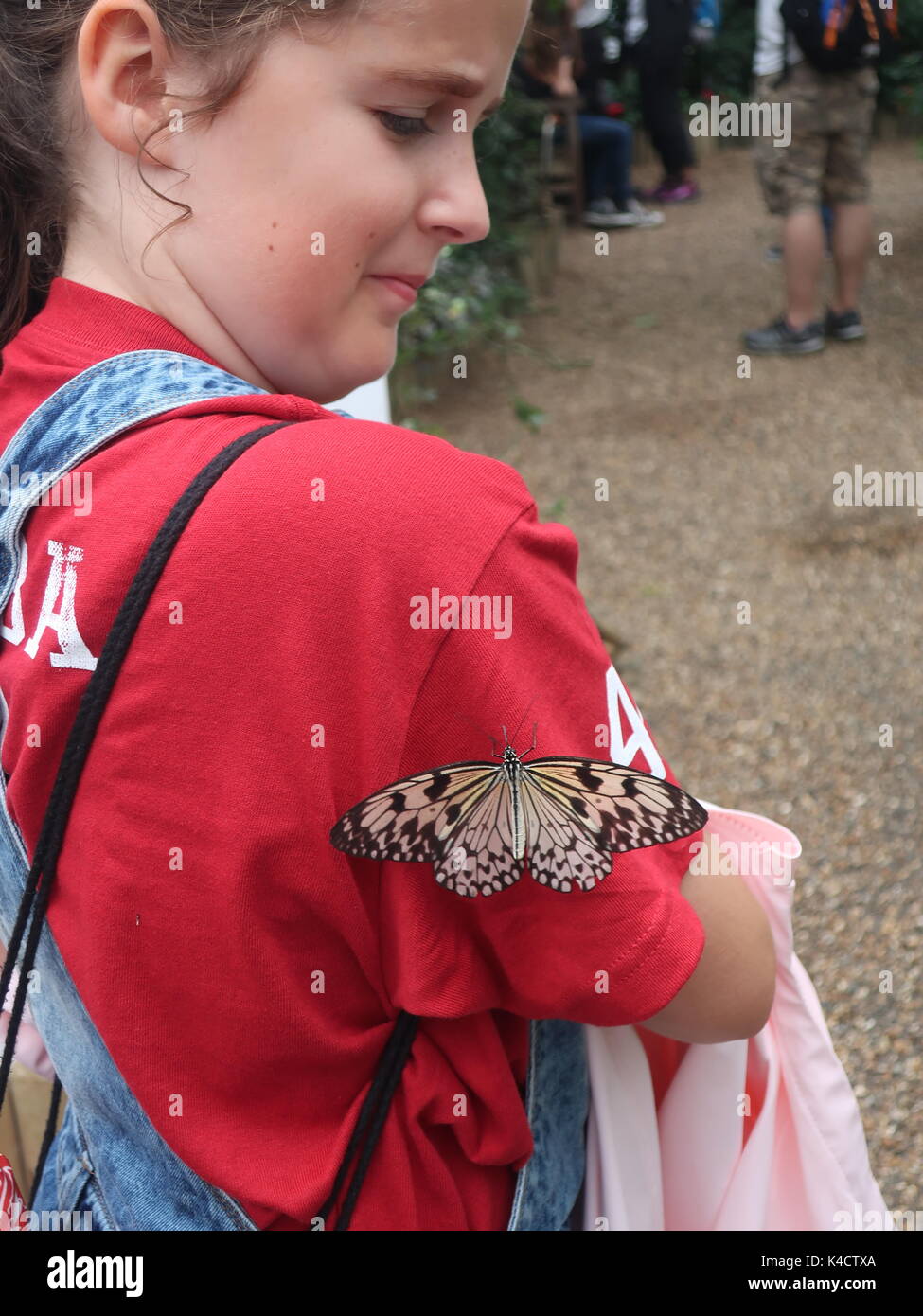 Butterfly lands on a girl hi-res stock photography and images - Alamy