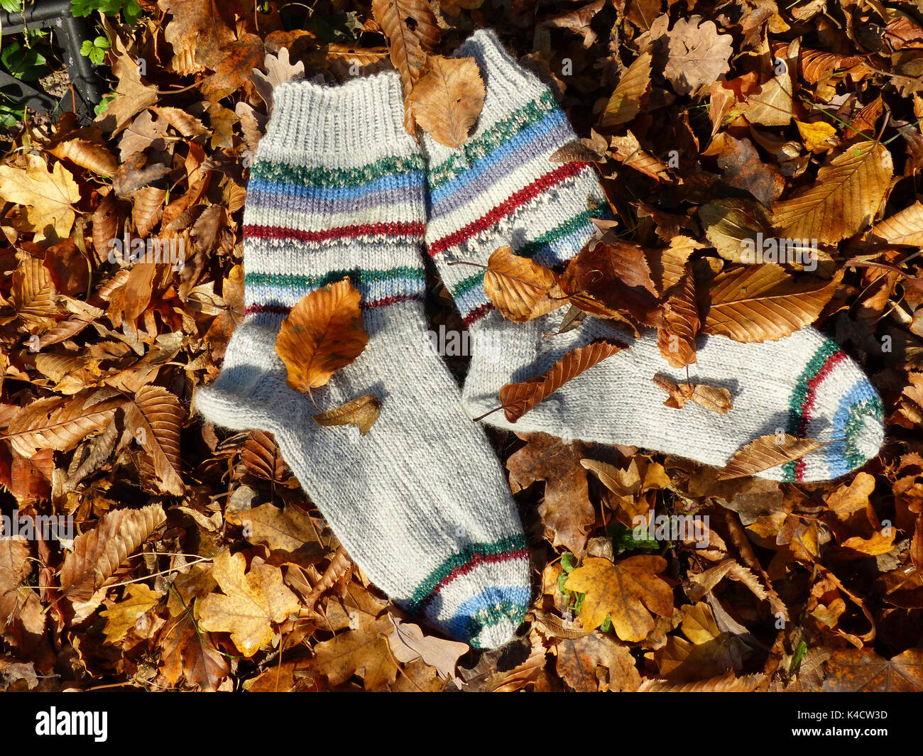 Hand-Knitted Woollen Socks In Autumnal Leaves Stock Photo - Alamy