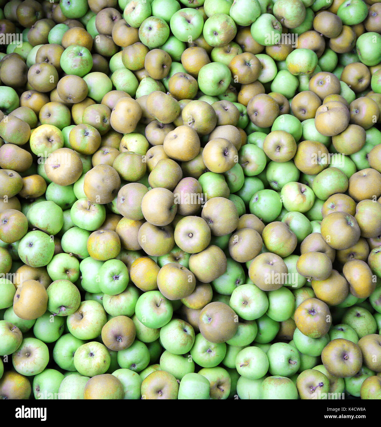 background of ripe organic green apples on sale by the fruit grower ...