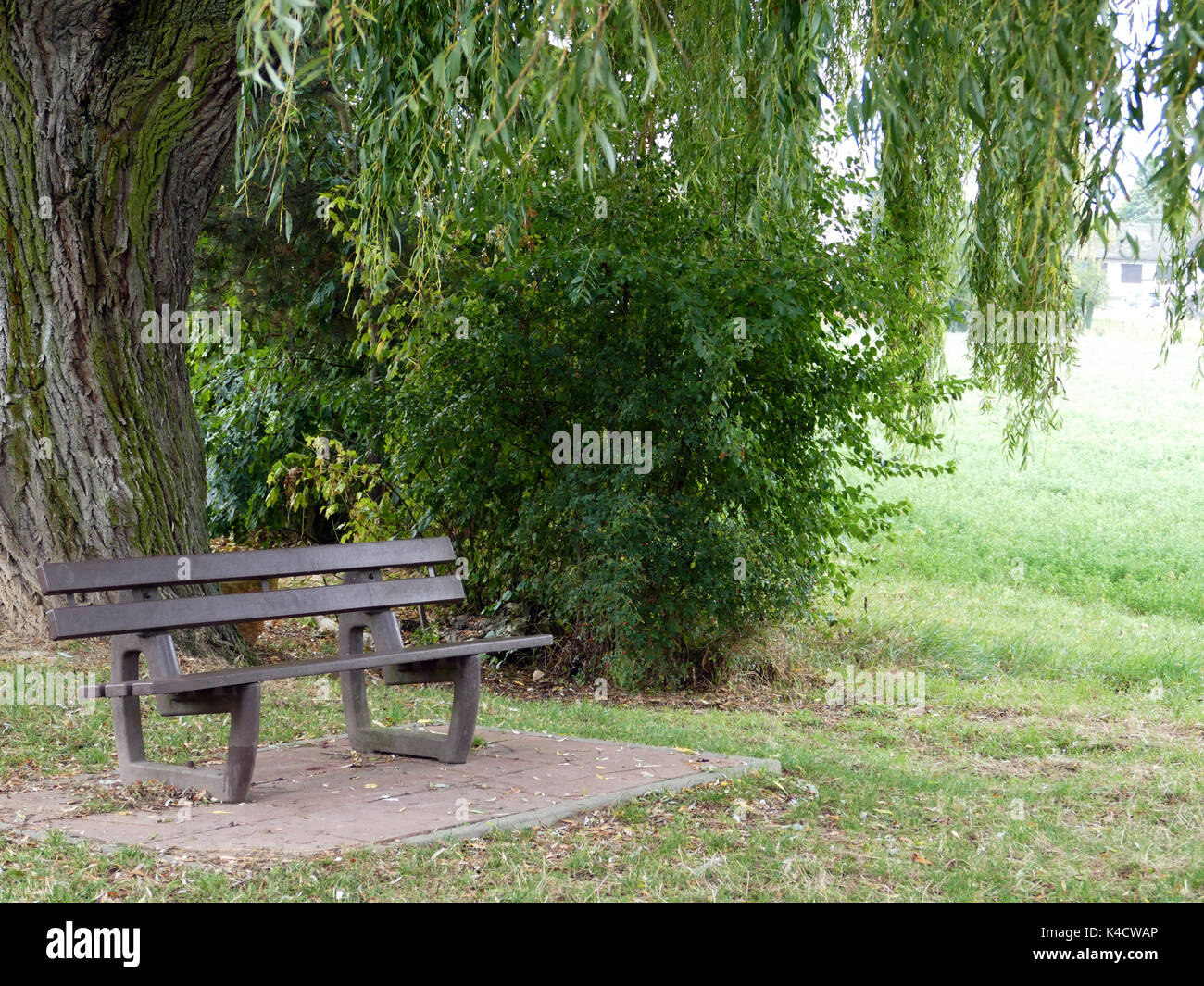 Willow tree bench hi-res stock photography and images - Alamy