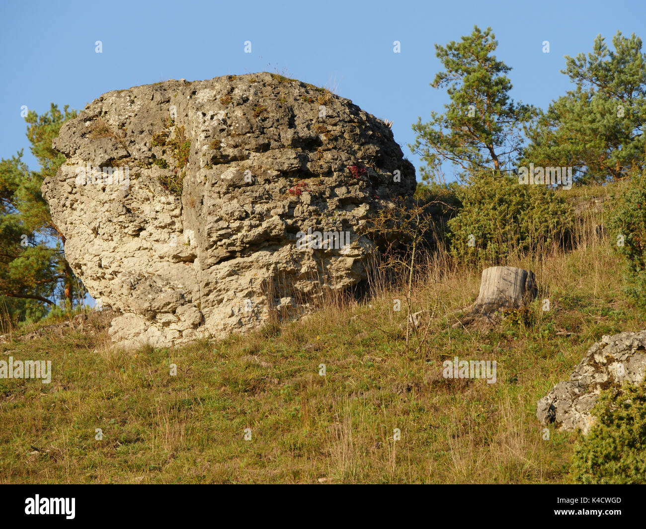 Rock That Looks Like An Owl, Landscape With Rocks In Kleinziegenfeld ...