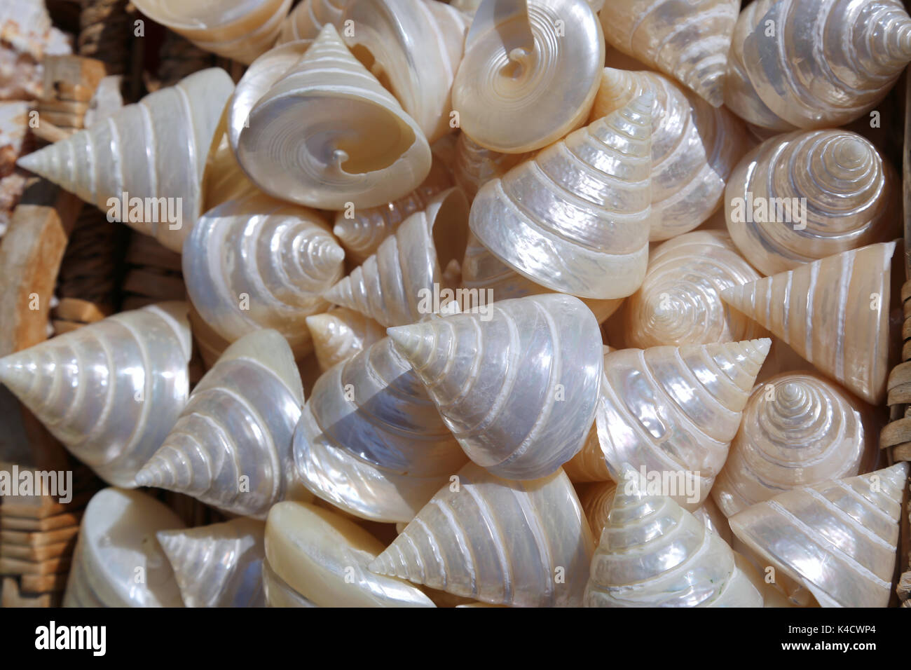 Baskets of sea shells hi-res stock photography and images - Alamy
