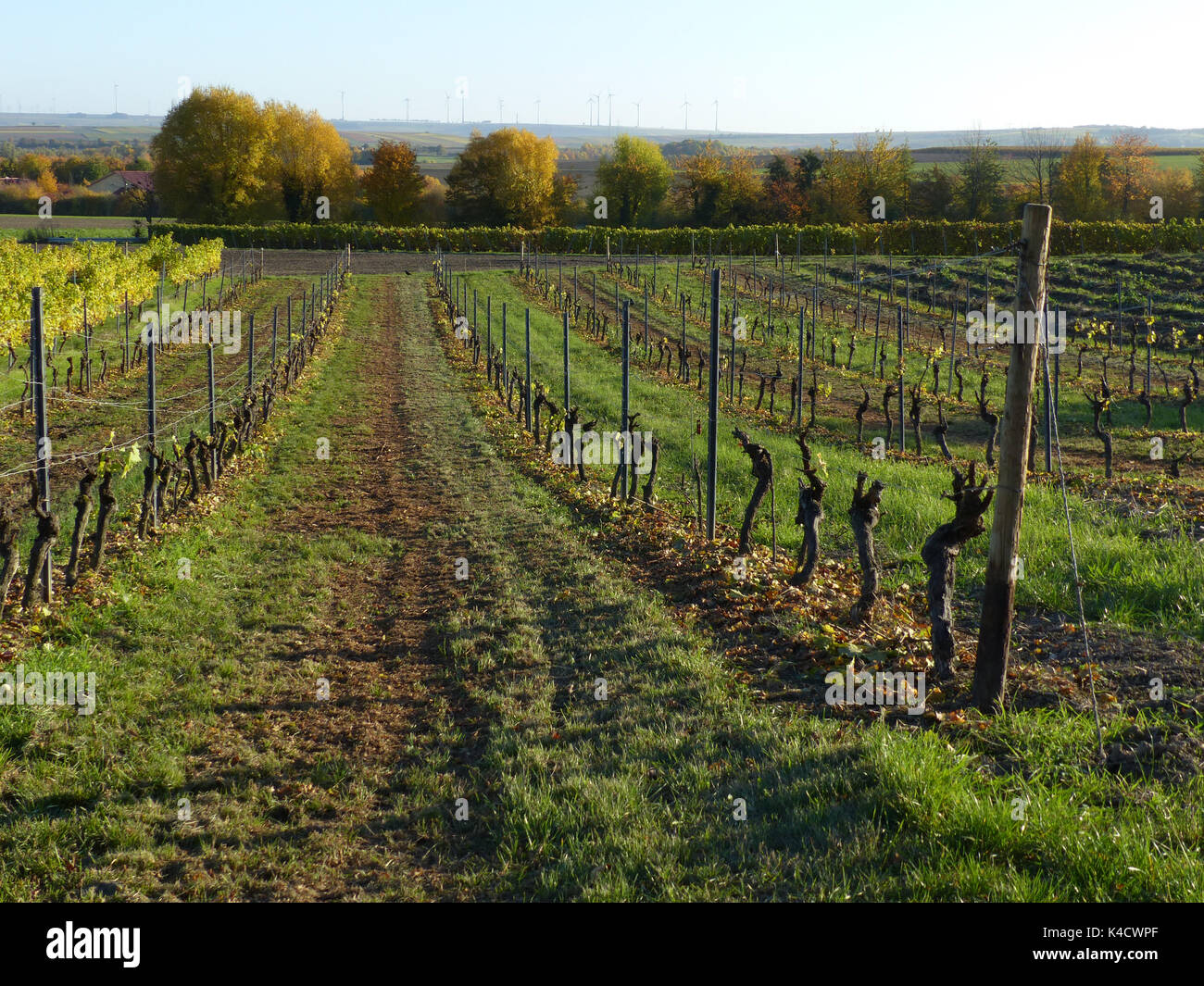 Cleared fields hi-res stock photography and images - Alamy