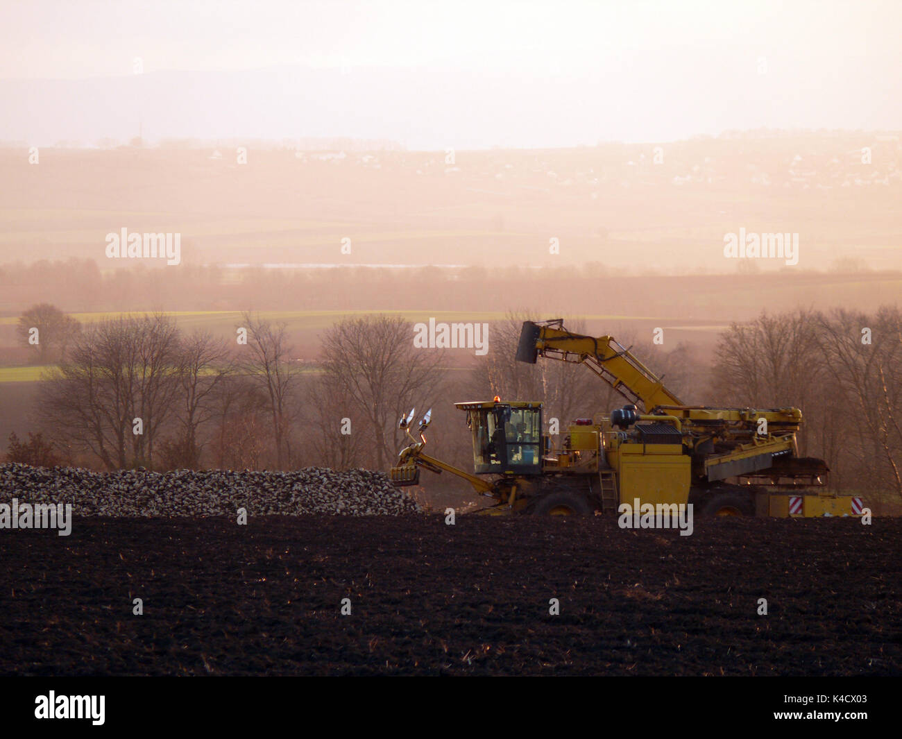 Loading beets hi-res stock photography and images - Alamy