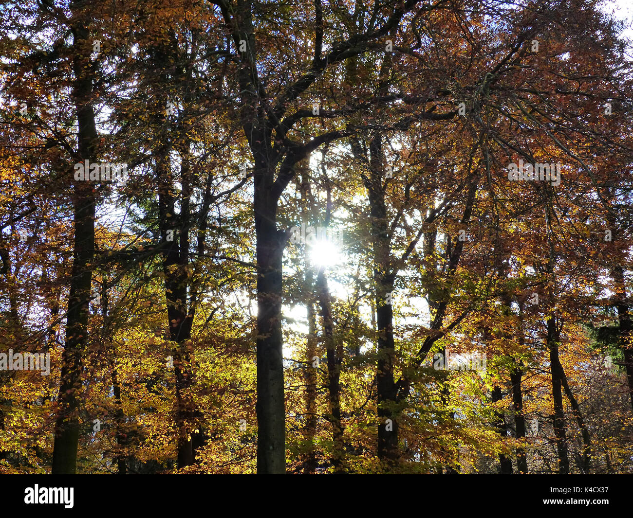 Sunray sunrays hi-res stock photography and images - Alamy