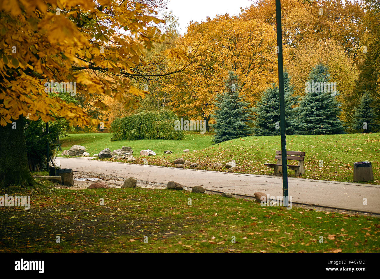Park trees bench change hi-res stock photography and images - Alamy