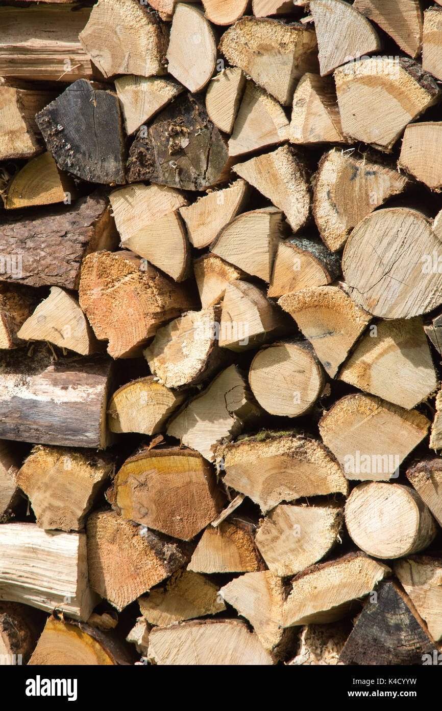 Logwood tree hi-res stock photography and images - Alamy