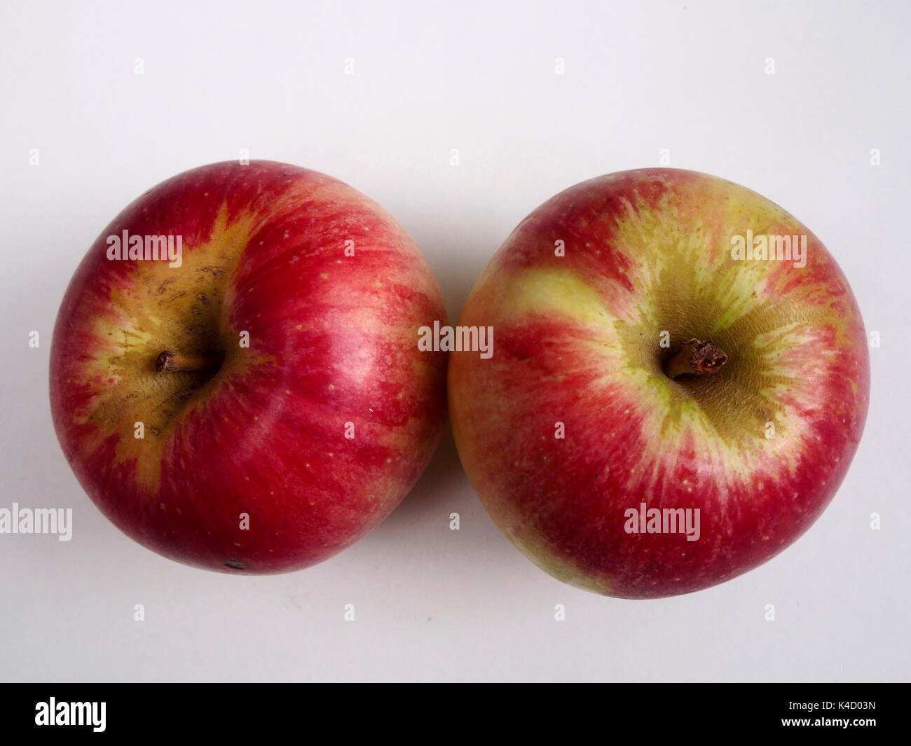 Two isolated akane apple Stock Photo - Alamy