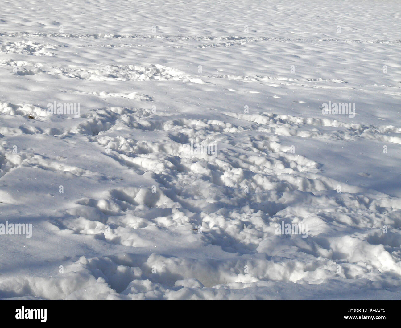 Tracks in the snow hi-res stock photography and images - Alamy