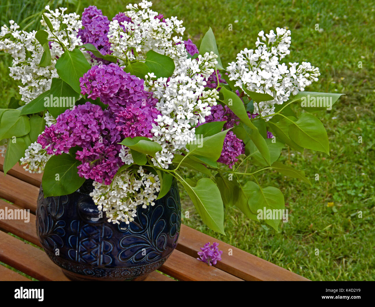 Lilac vase hi-res stock photography and images - Alamy