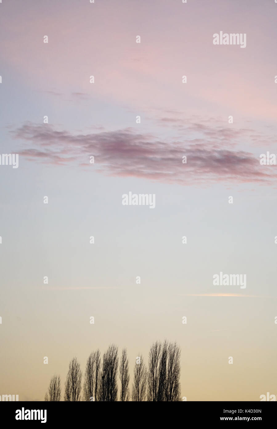 Bare Trees After Sunset Stock Photo - Alamy