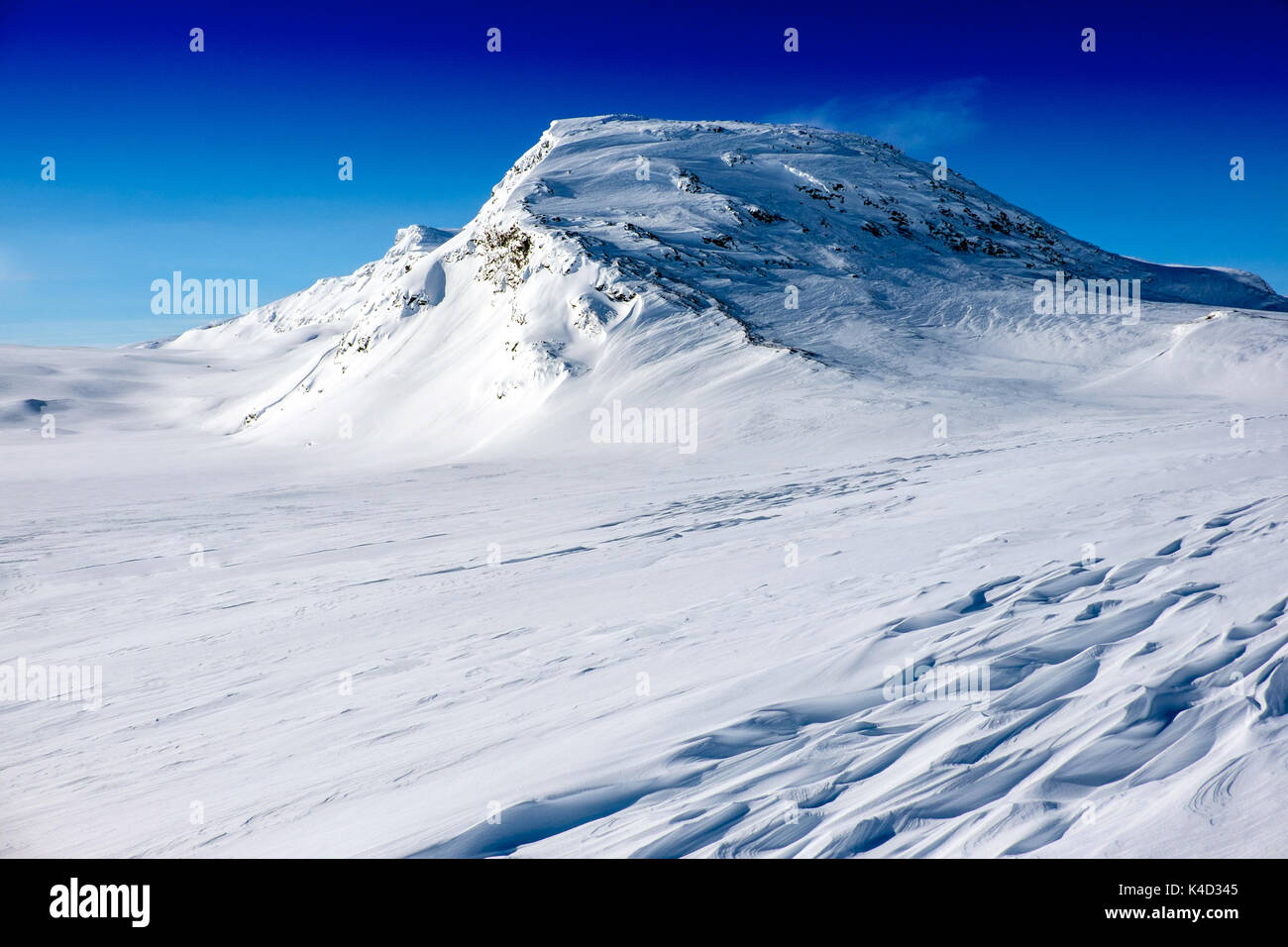 Scandinavian arctic hi-res stock photography and images - Alamy