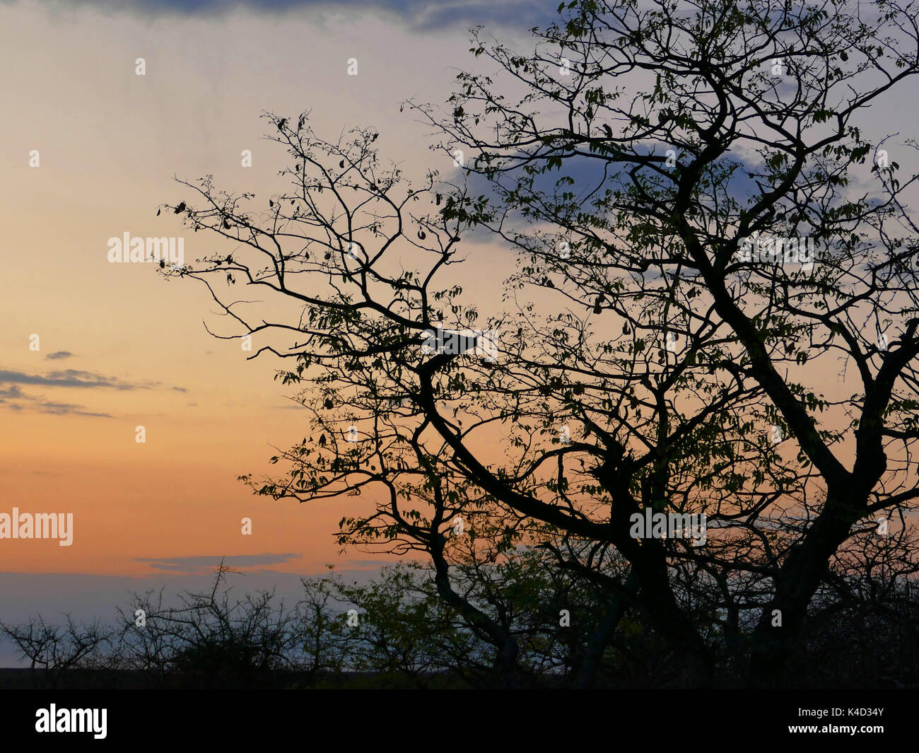 Countries in africa hi-res stock photography and images - Alamy