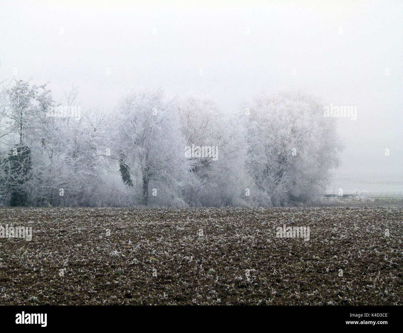 Winter Landscape, Hoarfrost On Fields And Trees Stock Photo - Alamy