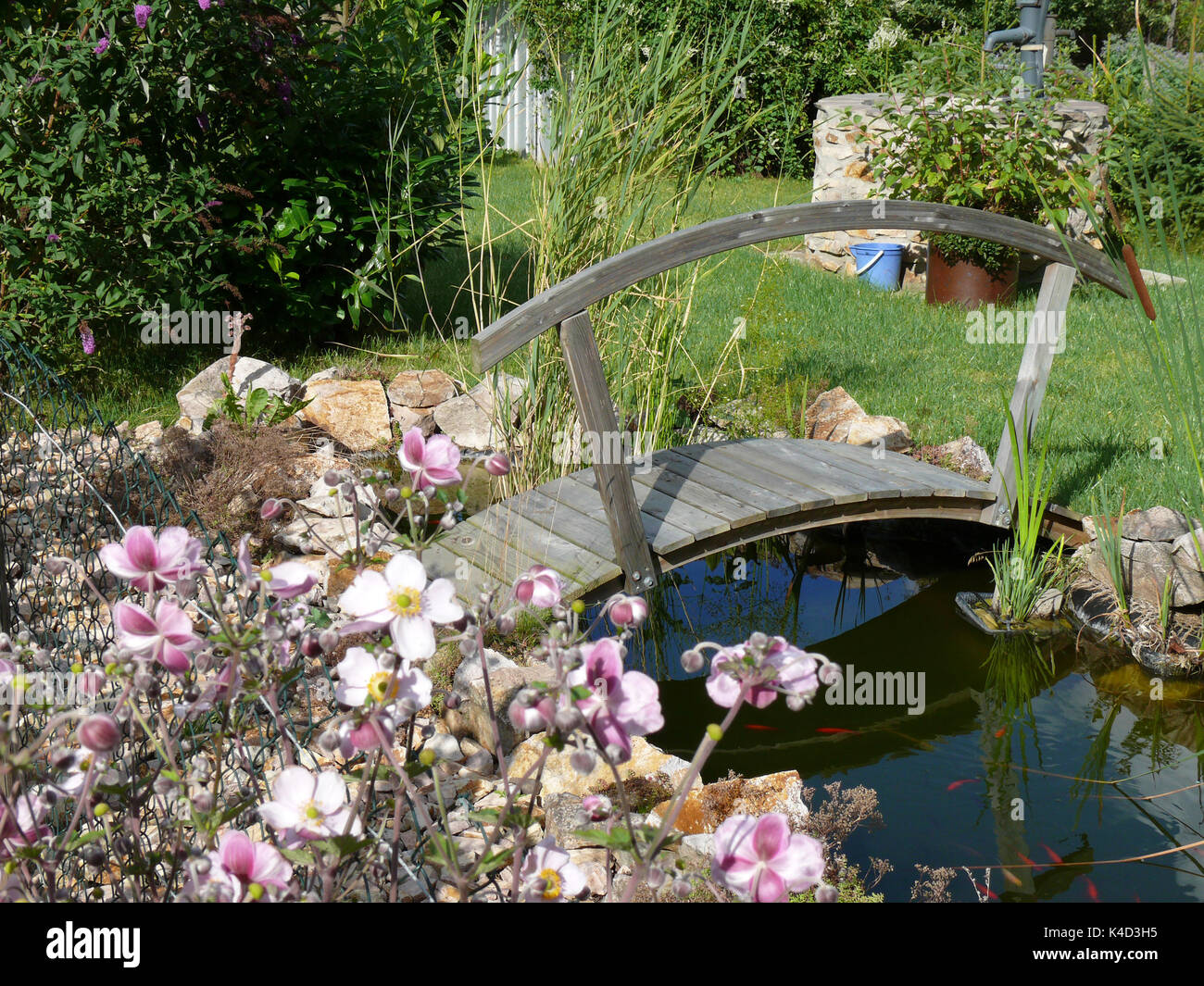 Bridge Small Pond Garden High Resolution Stock Photography and Images ...