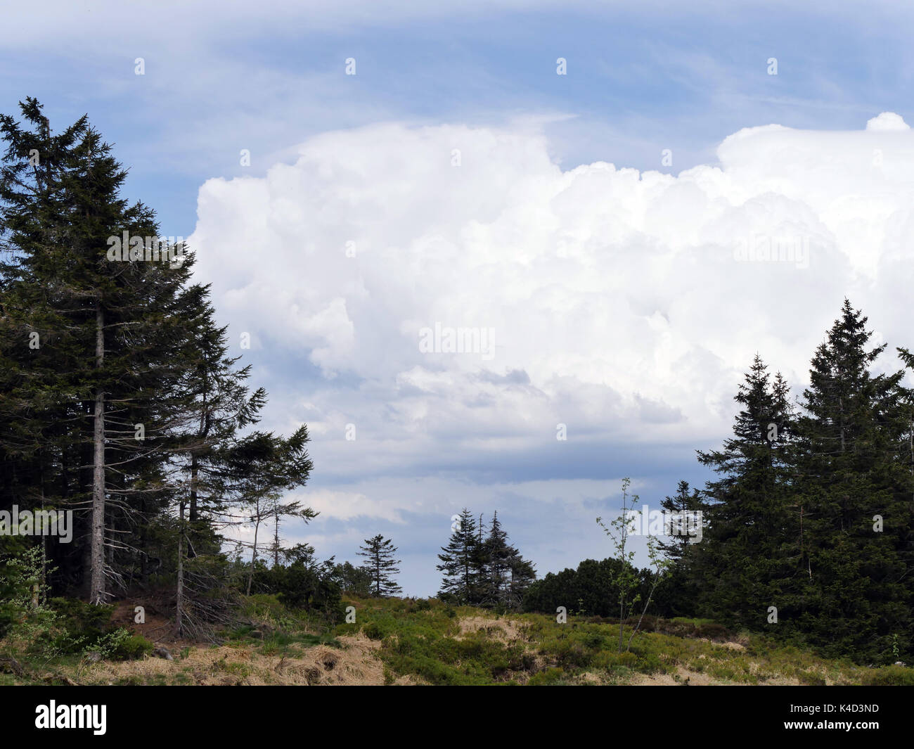 Bad Weather Clouds, Clouds Pile Up To A Heavy Rainfall, Hornisgrinde ...