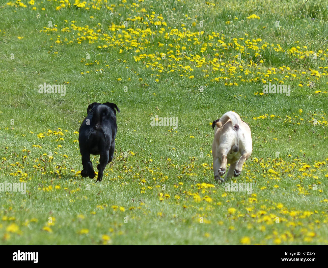 Going for a walk hi-res stock photography and images - Alamy
