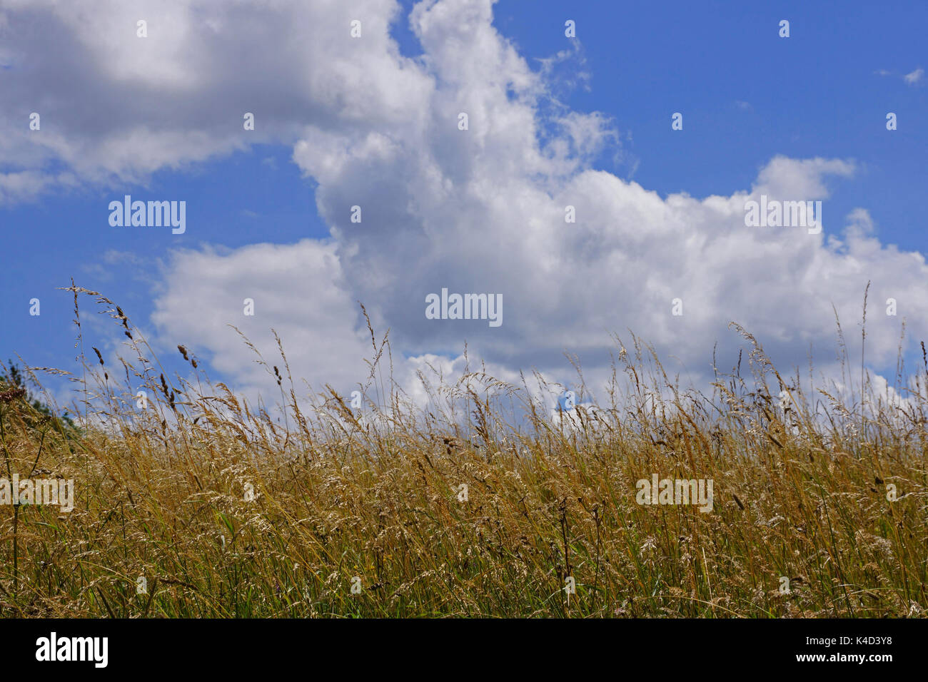 Eifel Mountain Range High Resolution Stock Photography and Images - Alamy