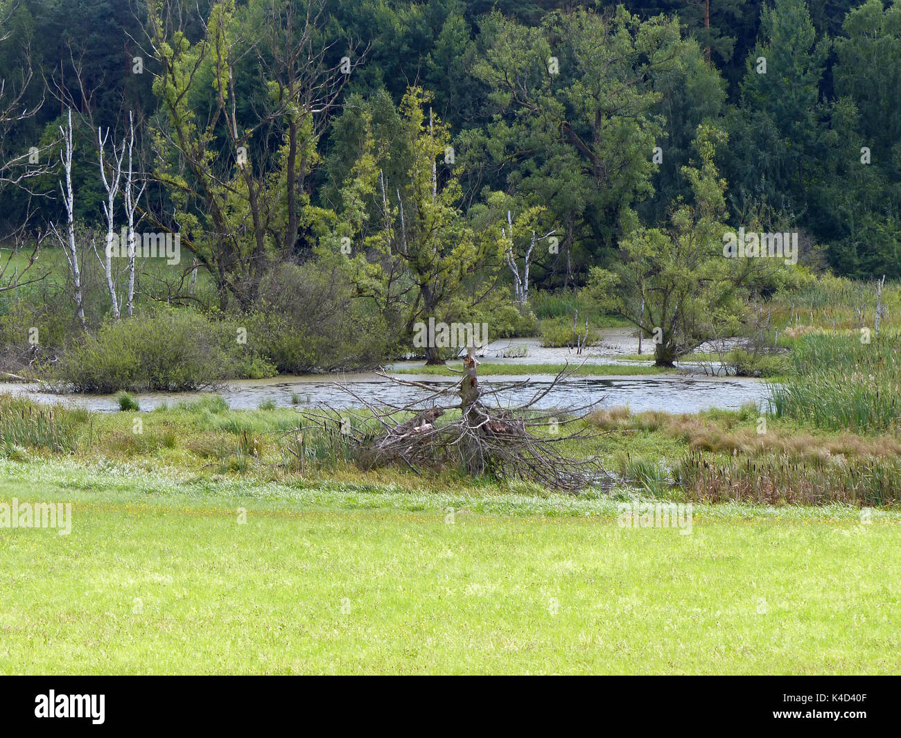 Free state of thuringia hi-res stock photography and images - Alamy