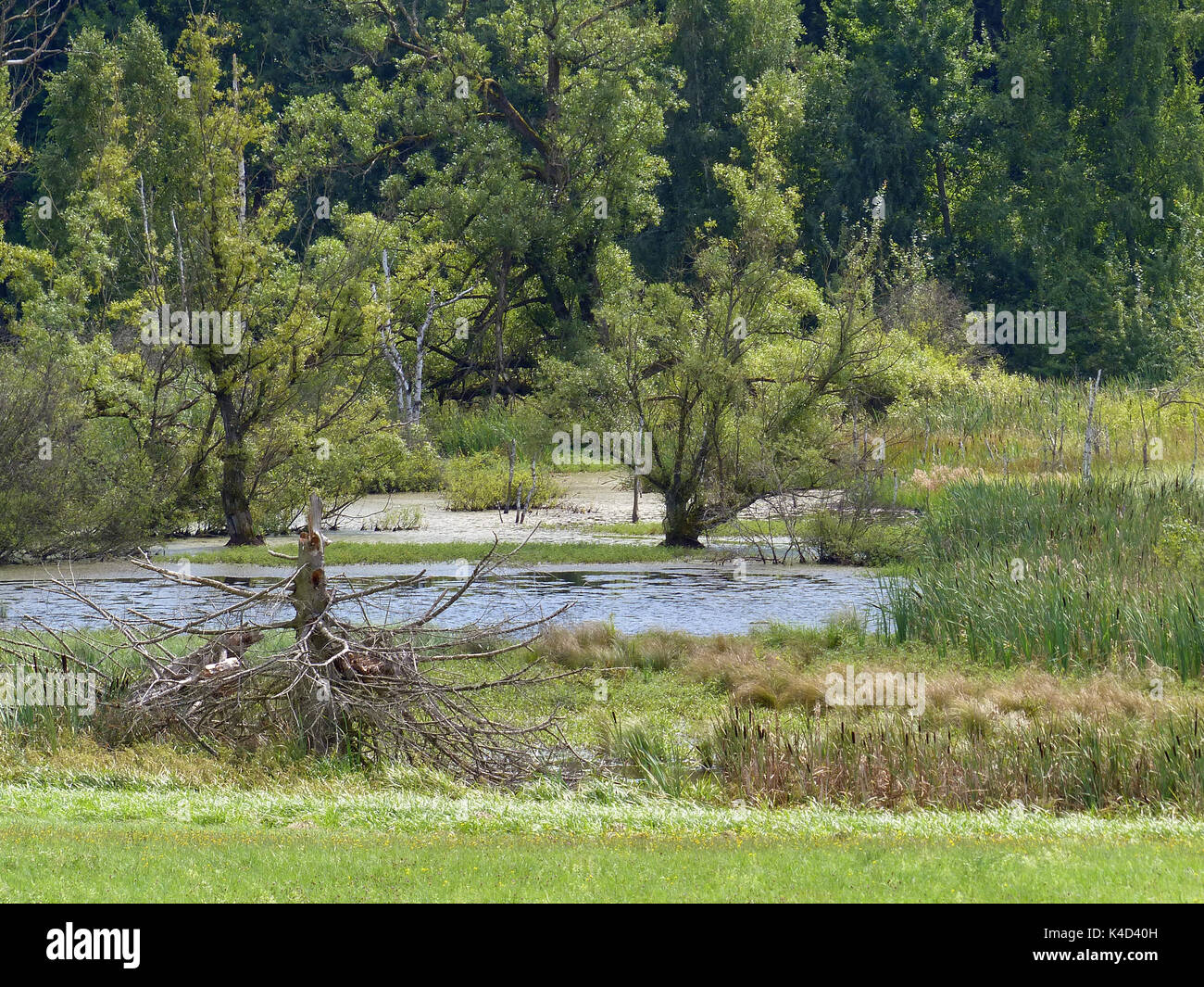 Free state thuringia hi-res stock photography and images - Alamy
