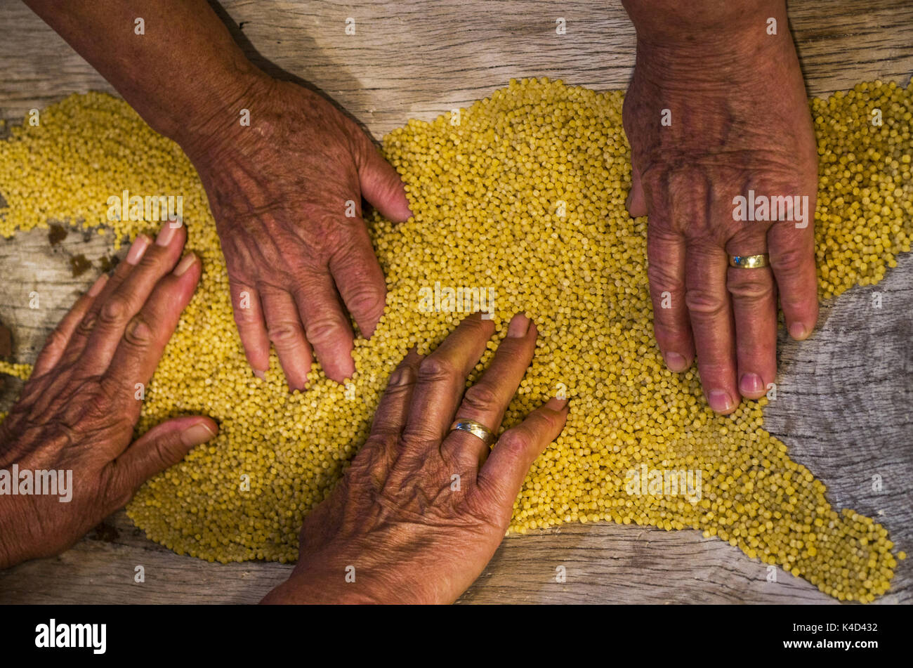 Female hands touch ears grass hi-res stock photography and images - Alamy