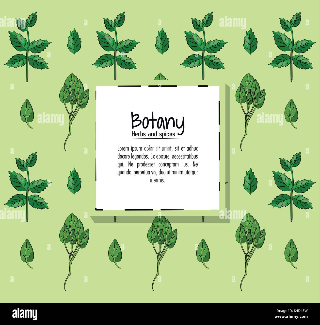 Botany herbs and spices Stock Vector Image & Art - Alamy